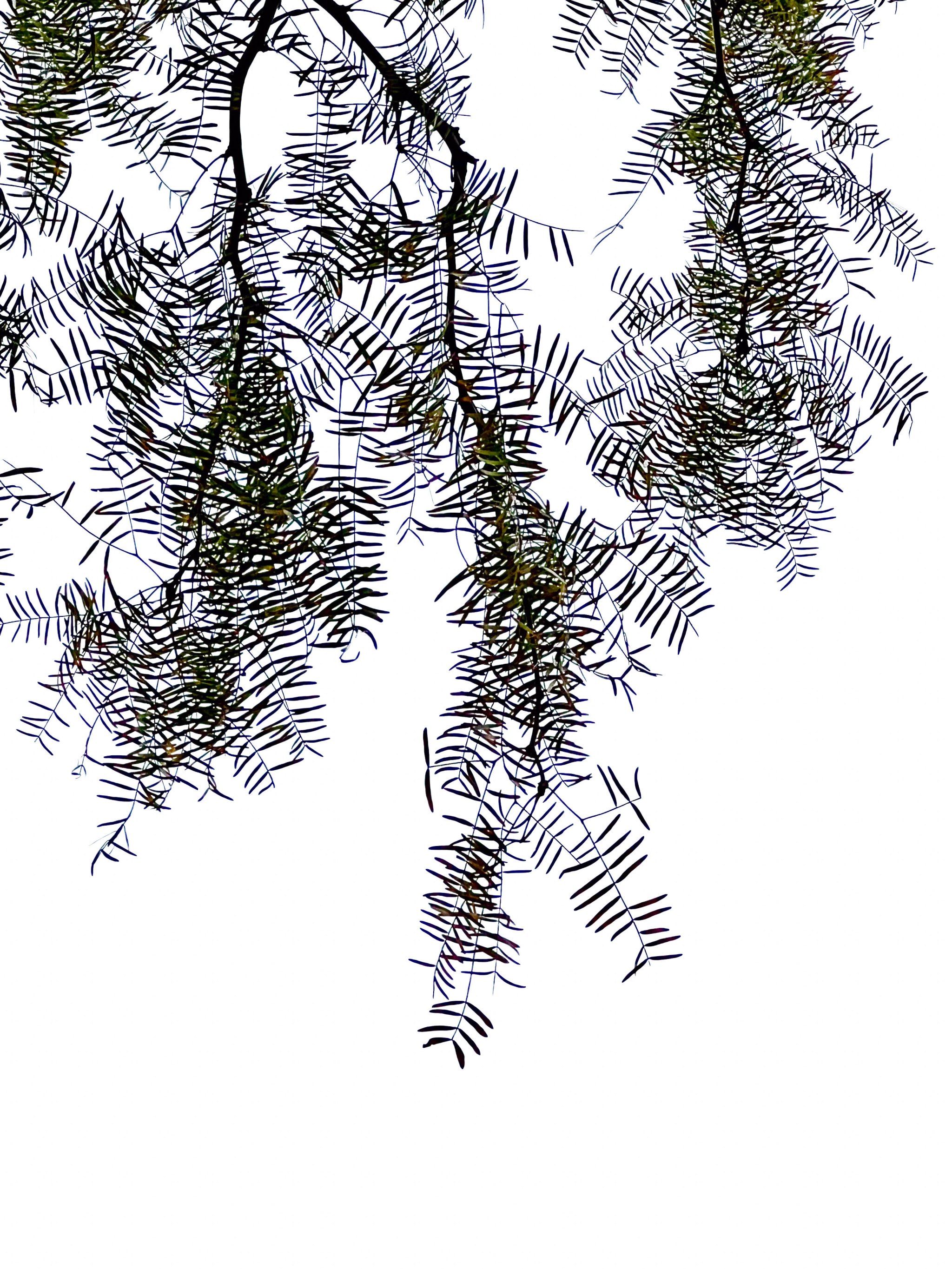 January House Literary Journal – Poetry | Art | Prose